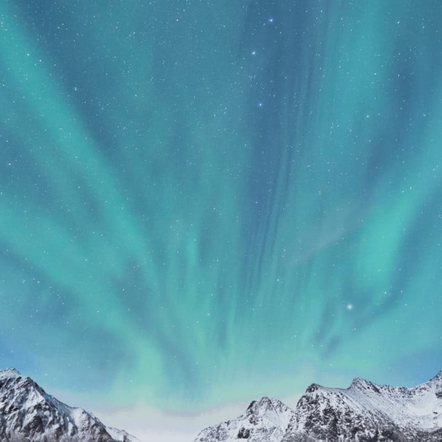 Comprehensive Guide to Solar Panel Types | Aurora Solar